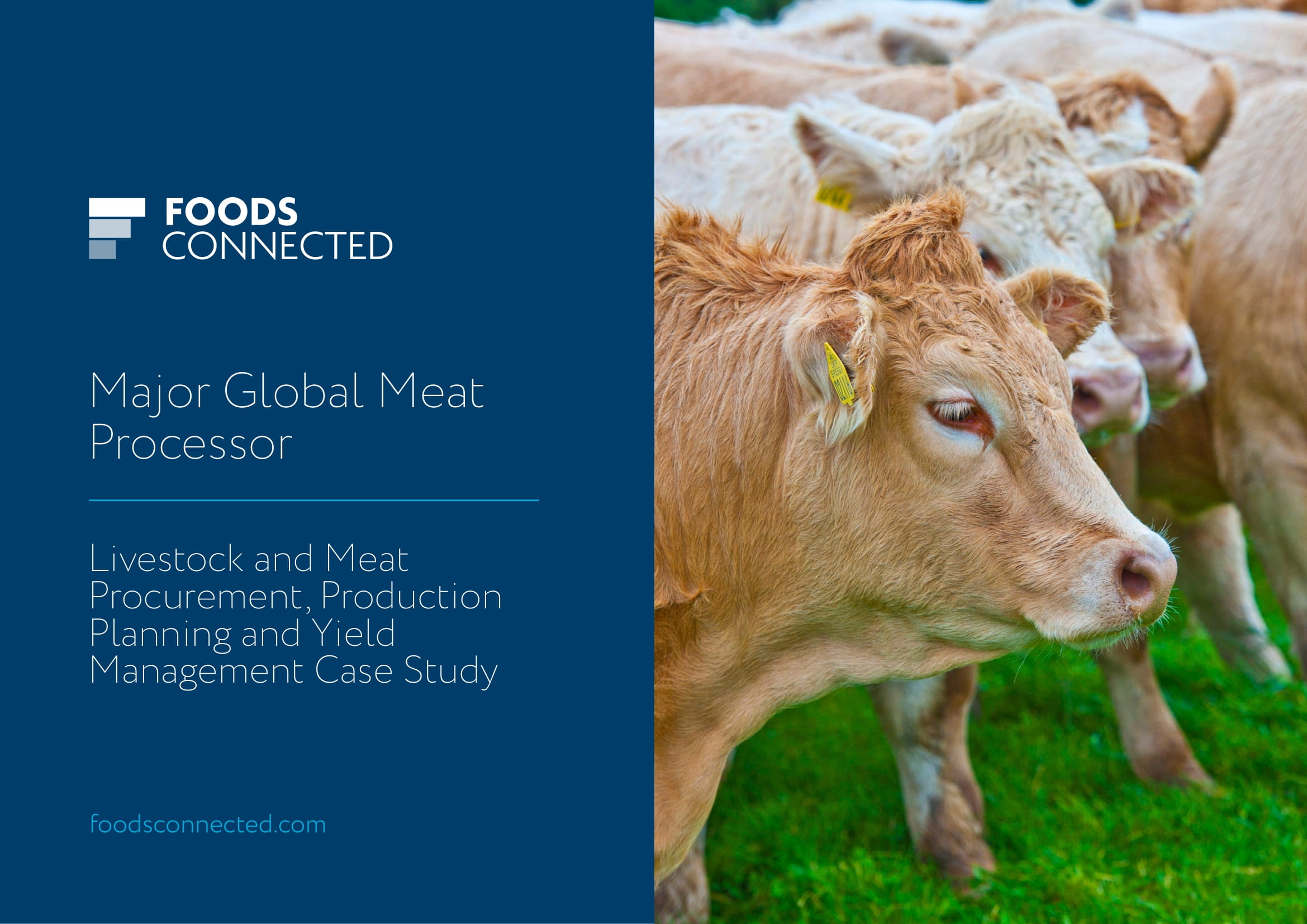 Foods Connected - Meat Procurement and Processing Case Study